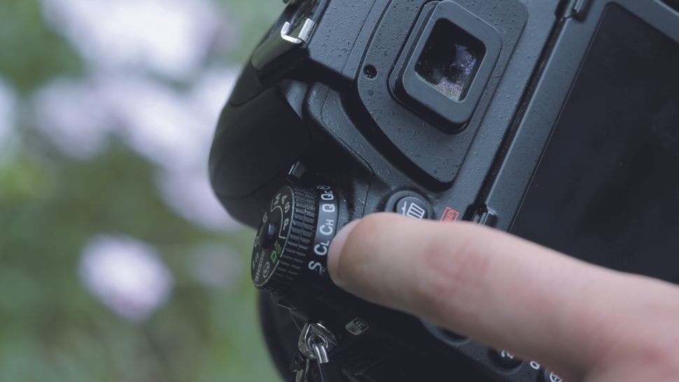 How to use flash for your photography: Make a mobile macro studio ...