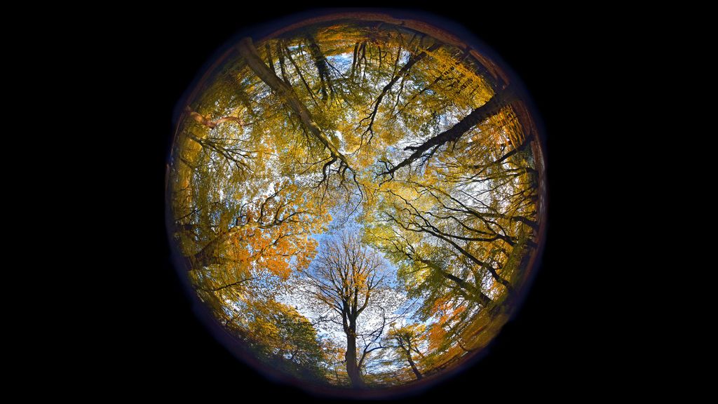 What is a fisheye lens and when would you use one? | Digital Camera World