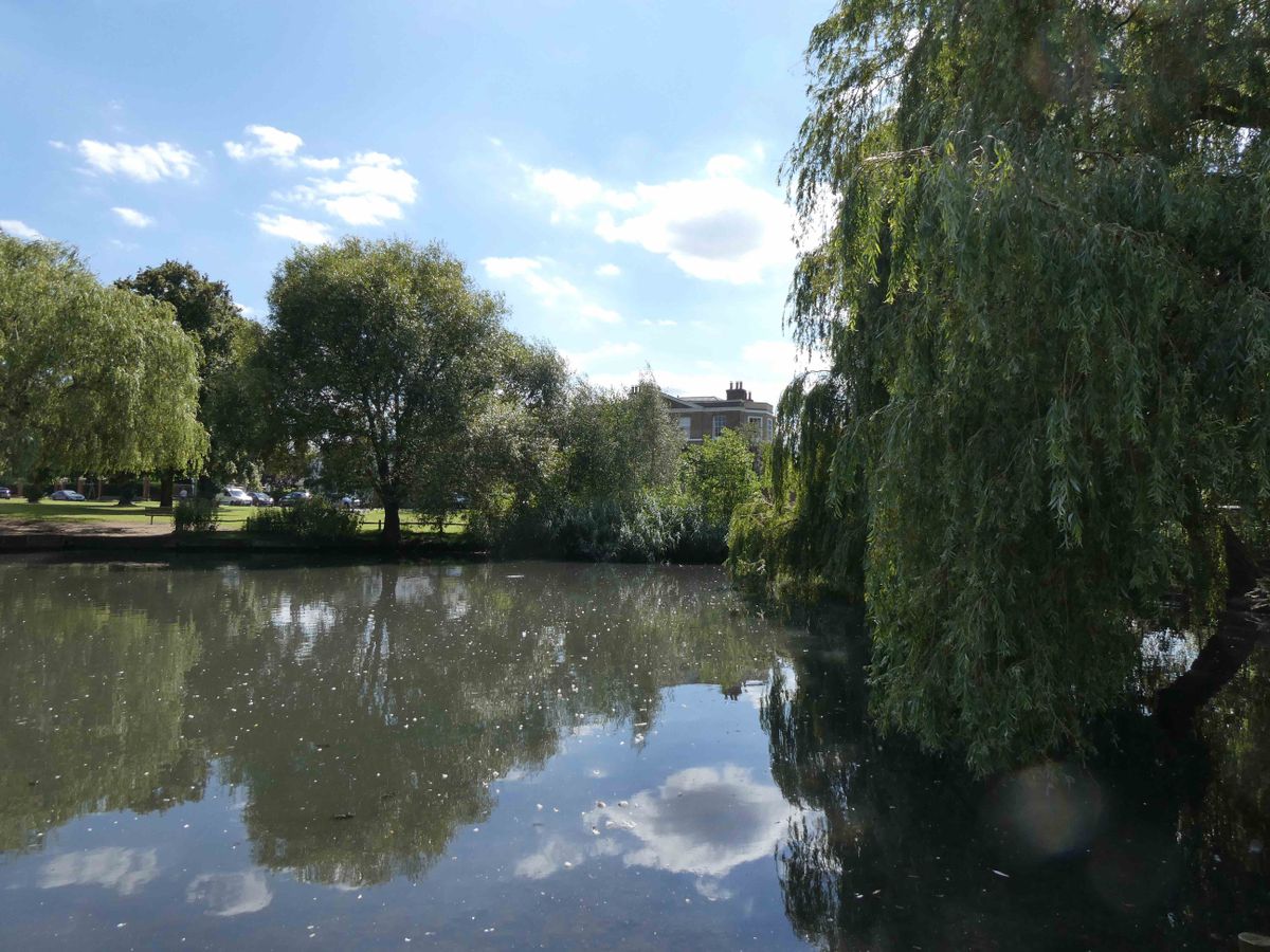 Panasonic Lumix ZS80 review | Digital Camera World