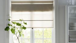 Chik Blind Trend: Why Are Interiors Obsessed With Bamboo Blinds ...