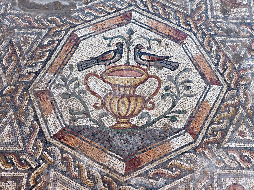 In Photos: 1,700-Year-Old Mosaic Once Adorned Israeli Courtyard | Live ...