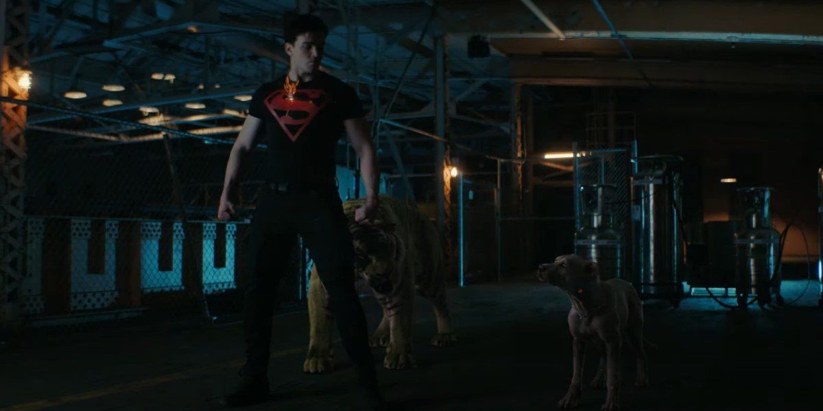 Titans Season 3 Trailer Gets Hype With Red Hood, Barbara Gordon ...