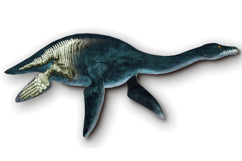 Image Gallery: Ancient Monsters of the Sea | Predator X: Page 2 | Live ...