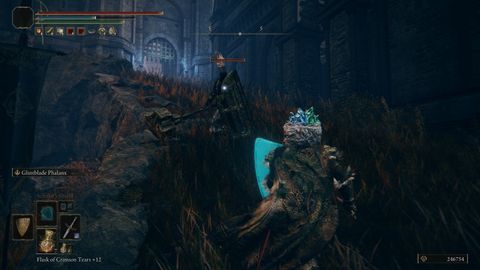 I used Elon Musk's infamous Elden Ring build in the DLC — here's how it ...