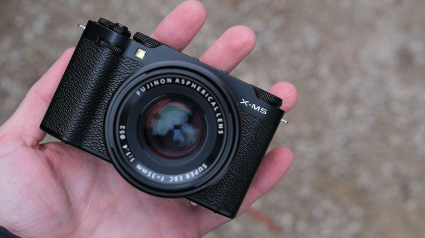 I reckon the Nikon 1 J5 might be the most affordable retro-themed mirrorless camera on the ...