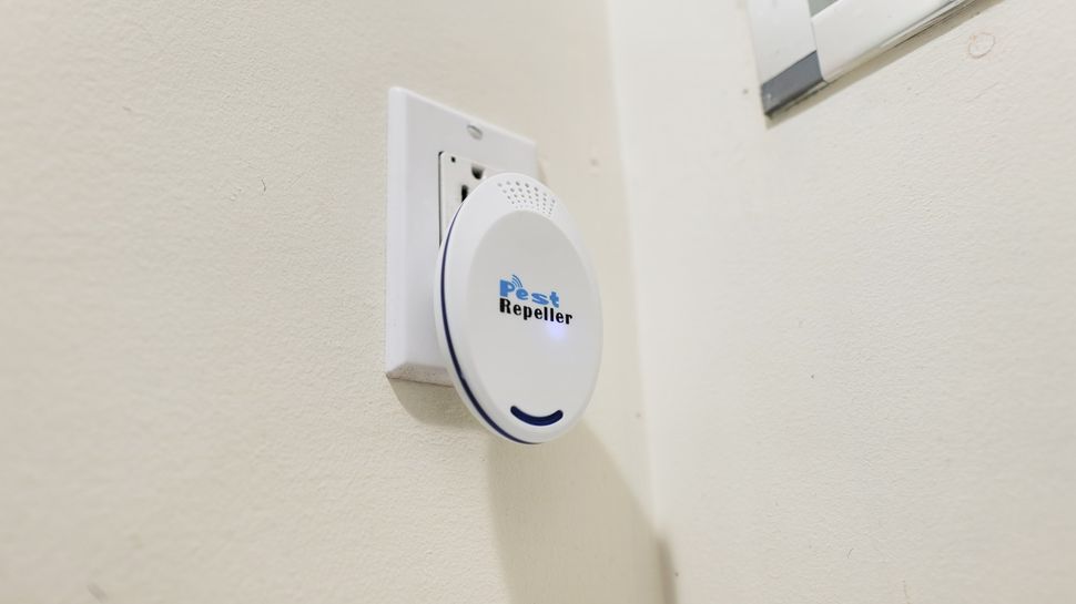 I used an ultrasonic pest repeller against an ant invasion — here’s ...