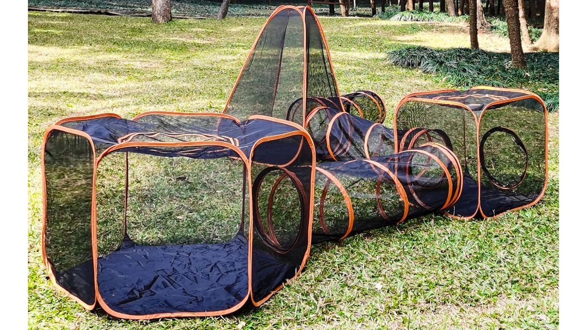 Best outdoor cat enclosures 2024: Let your feline explore nature safely ...