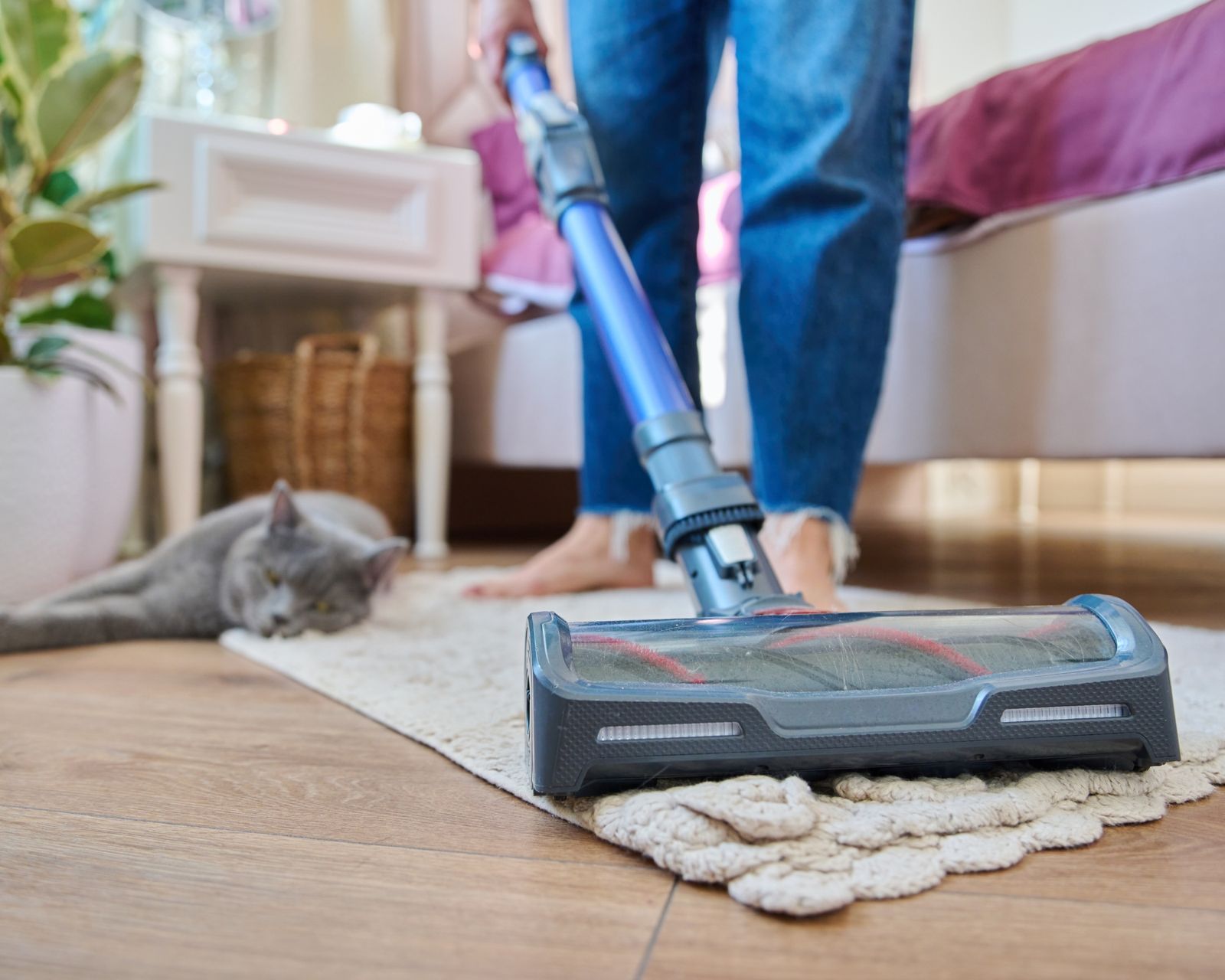 How to clean a vacuum filter — remove blockages and odors | Real Homes