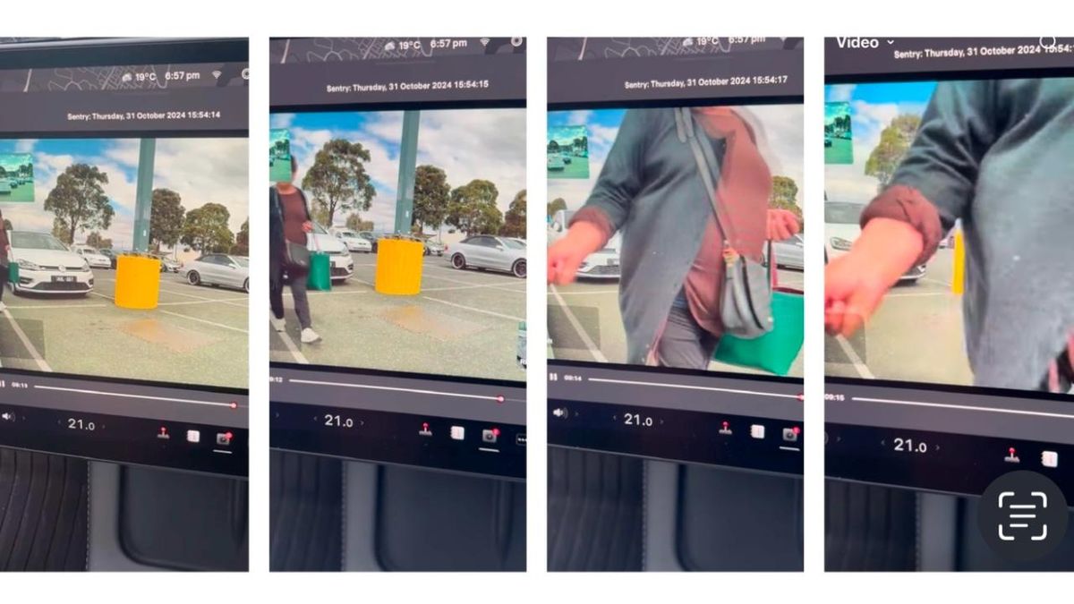 Tesla's onboard cameras catch vandals in the act | Digital Camera World
