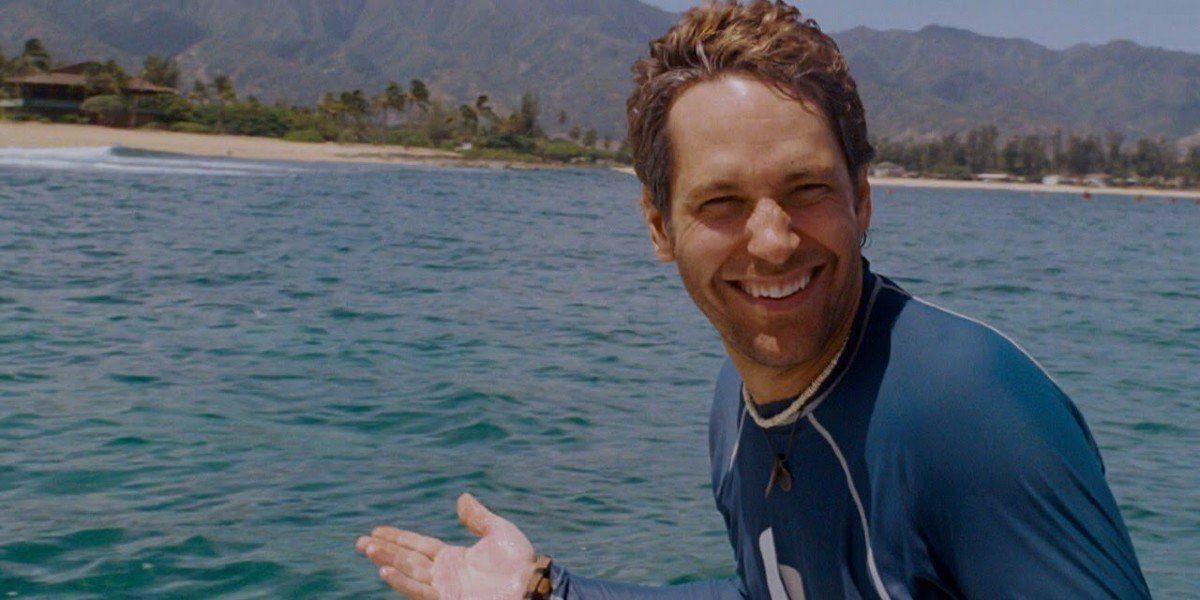 What The Forgetting Sarah Marshall Cast Is Up To Now | Cinemablend