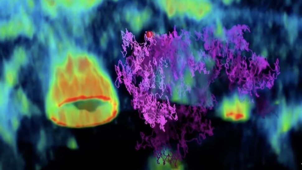 Stunning video captures a virus on the verge of breaking into a cell ...