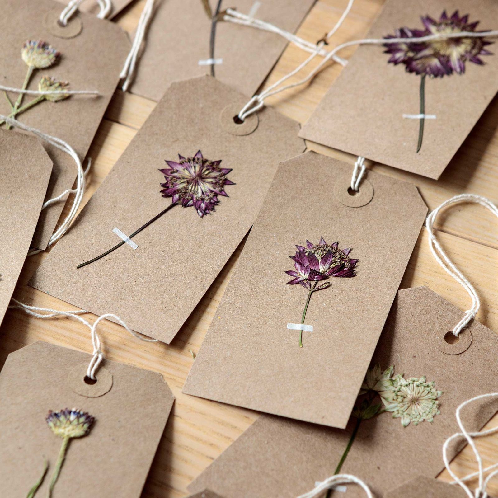 How to press flowers: for pretty homemade decorations | Ideal Home