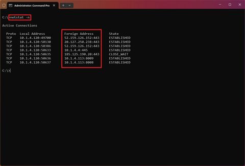 How to use 'netstat' command on Windows 11 and 10 | Windows Central