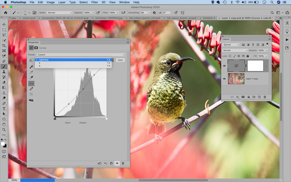 Experiment with LAB mode in Adobe Photoshop CC to enhance your colors ...