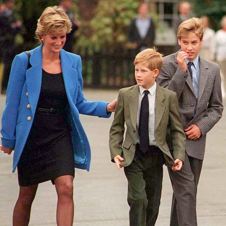Princess Diana's Former Bodyguard Shares What Really Happened When the ...