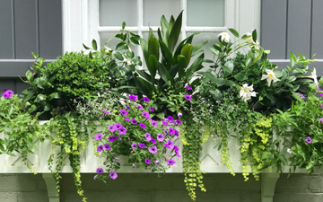 Window box ideas to boost your home's curb appeal | Livingetc