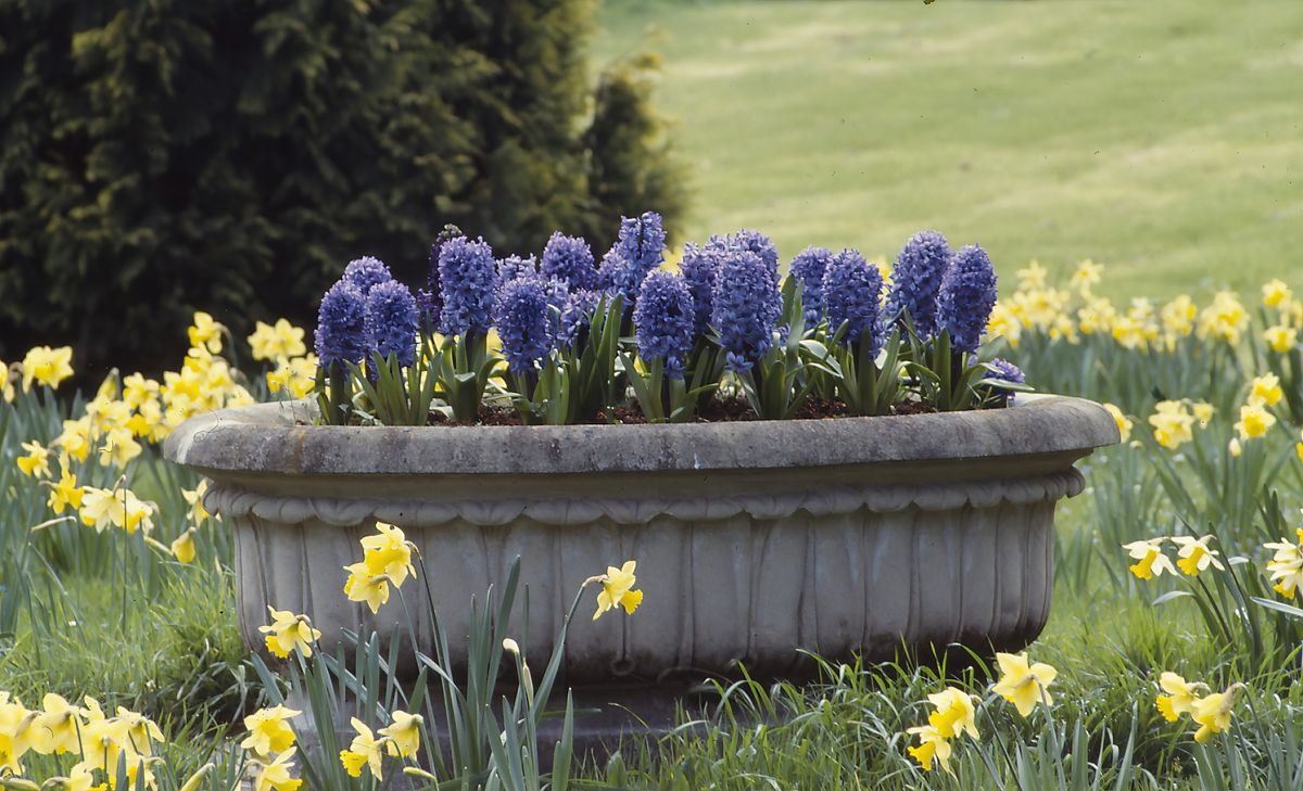 Perfect pots and planters to help introduce a touch of sophistication ...