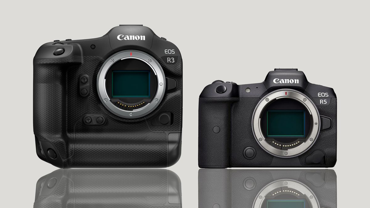 Canon EOS R3 size comparison: DWARFS the R5, smaller than Nikon and ...