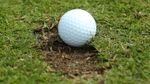 What Are Your Options If Your Ball Is Unplayable? | Golf Monthly