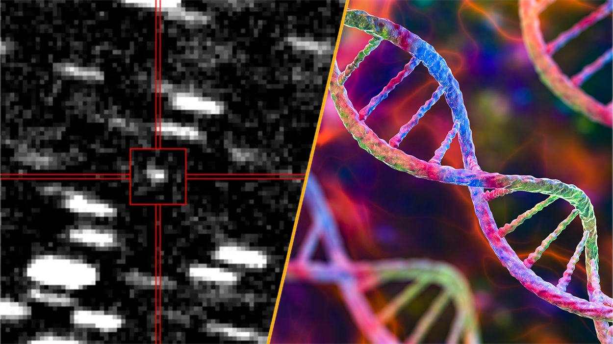 Science news this week: An 'interstellar visitor' and the oldest ...