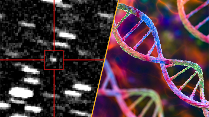 What's the Oldest Thing Alive Today? | Live Science