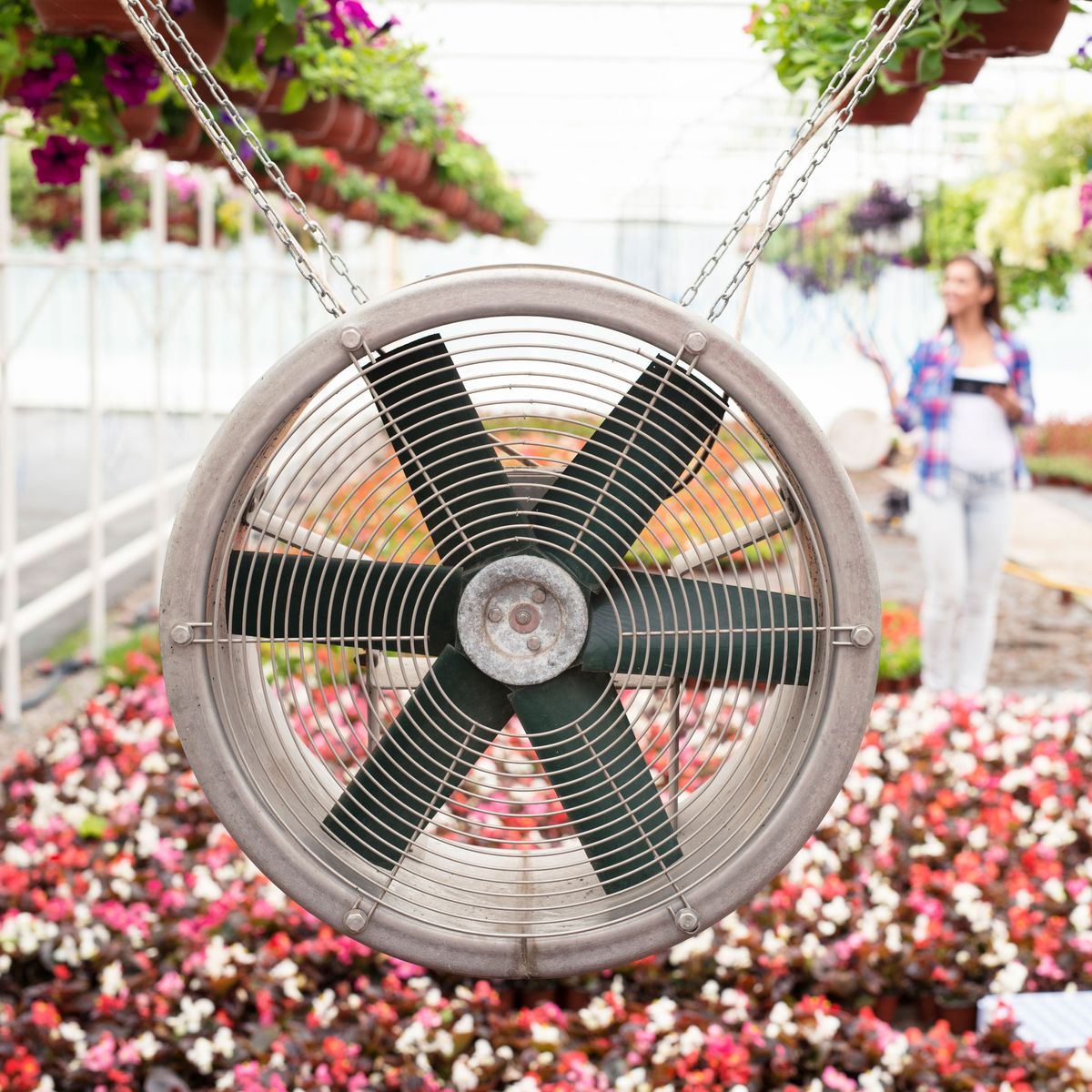 Greenhouse Cooling: Effective Care When Temperatures Soar | Gardening ...