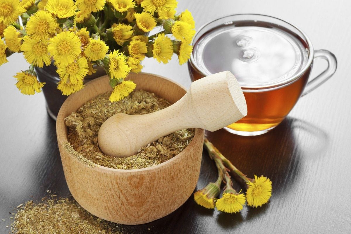 Benefits Of Coltsfoot Fertilizer - Feeding Plants With Coltsfoot Tea ...
