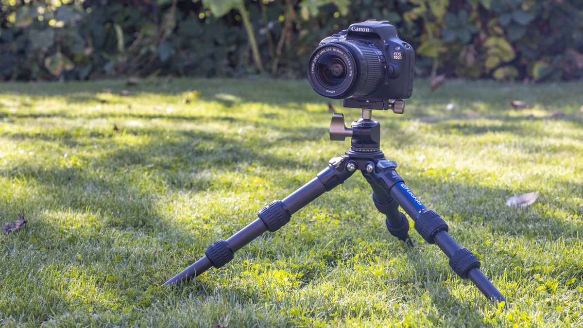 The best mini tripods | Digital Camera World