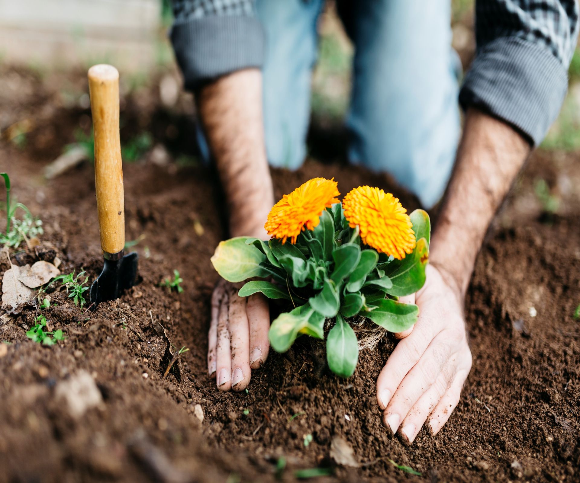 The secrets of soil: Can yard dirt boost our happiness? | Homes and Gardens