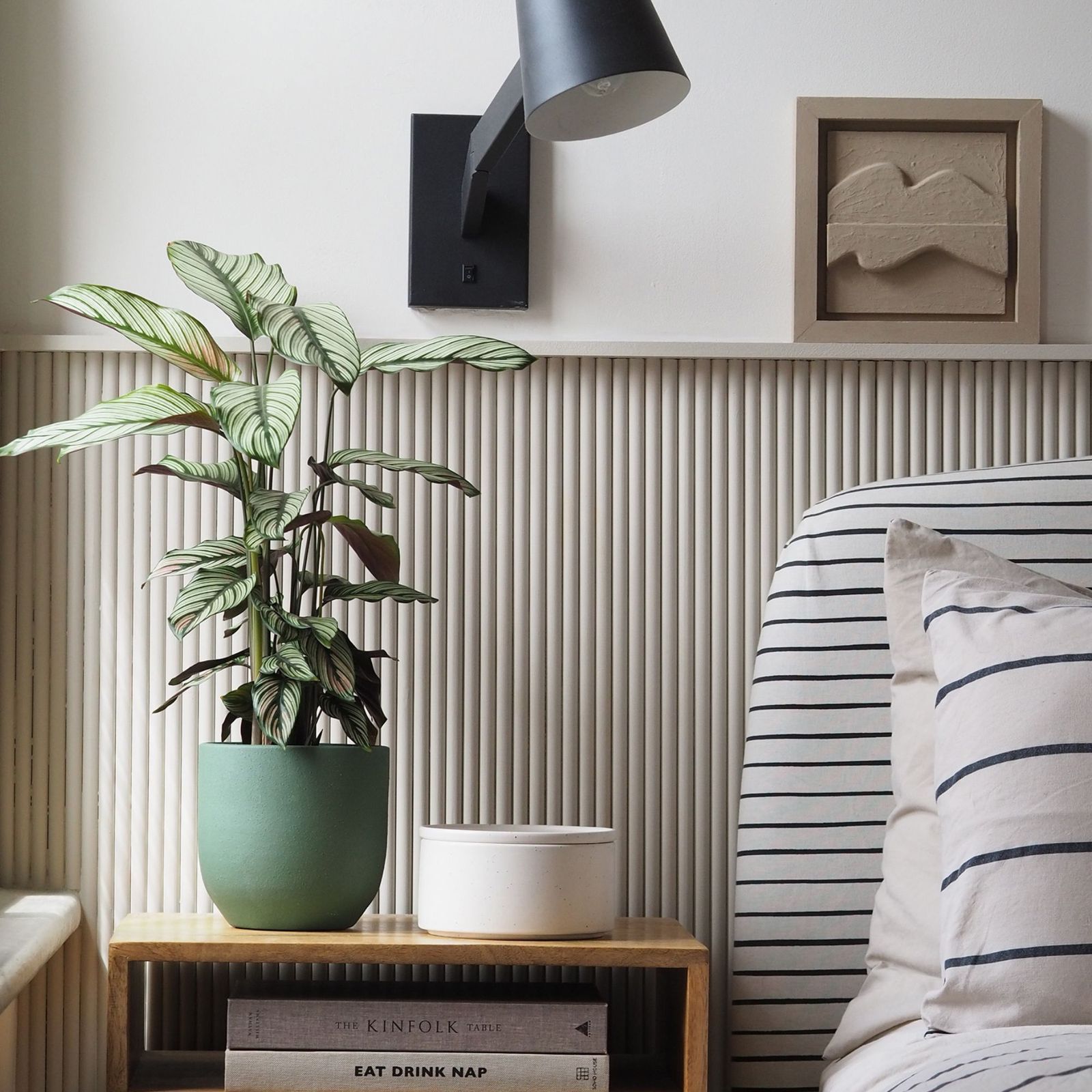 How to care for a prayer plant - the ultimate shade-loving plant ...