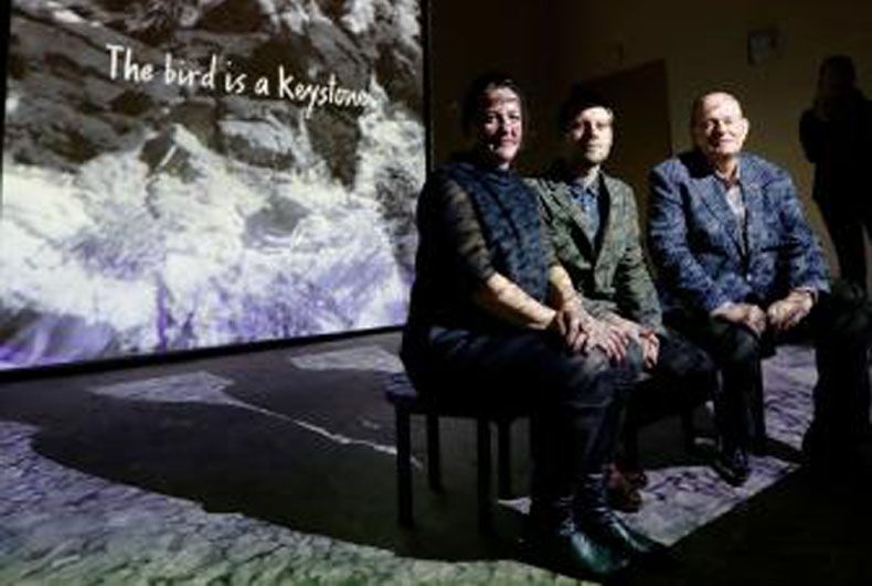 Martyn Ware, surround sound pioneer and founder of The Human League and ...