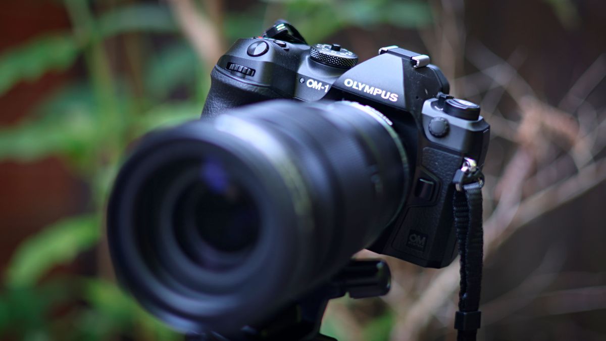 OM System OM-1 review | Live Science