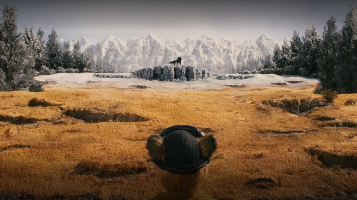 The Most Wes Anderson Shot In Every Wes Anderson Movie | Cinemablend