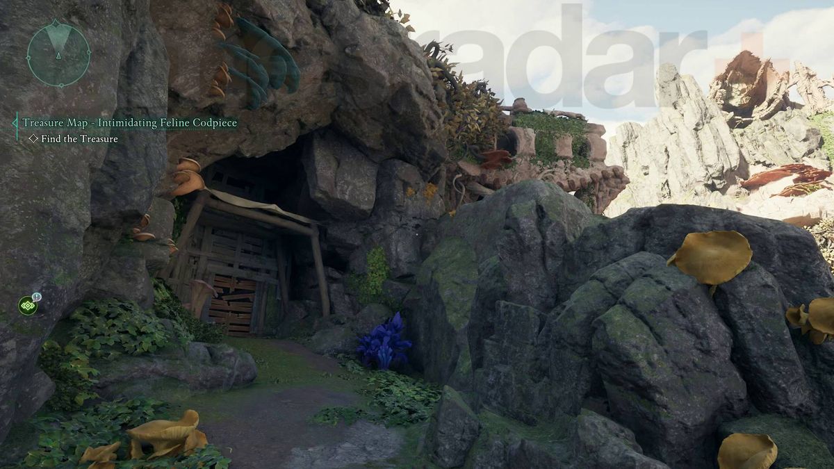 How to find the Avowed Intimidating Feline Codpiece treasure | GamesRadar+