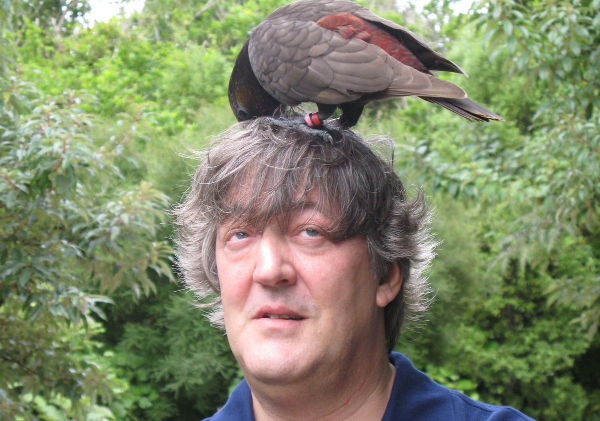 Stephen Fry has a cameo in Destiny 2: Warmind | PC Gamer