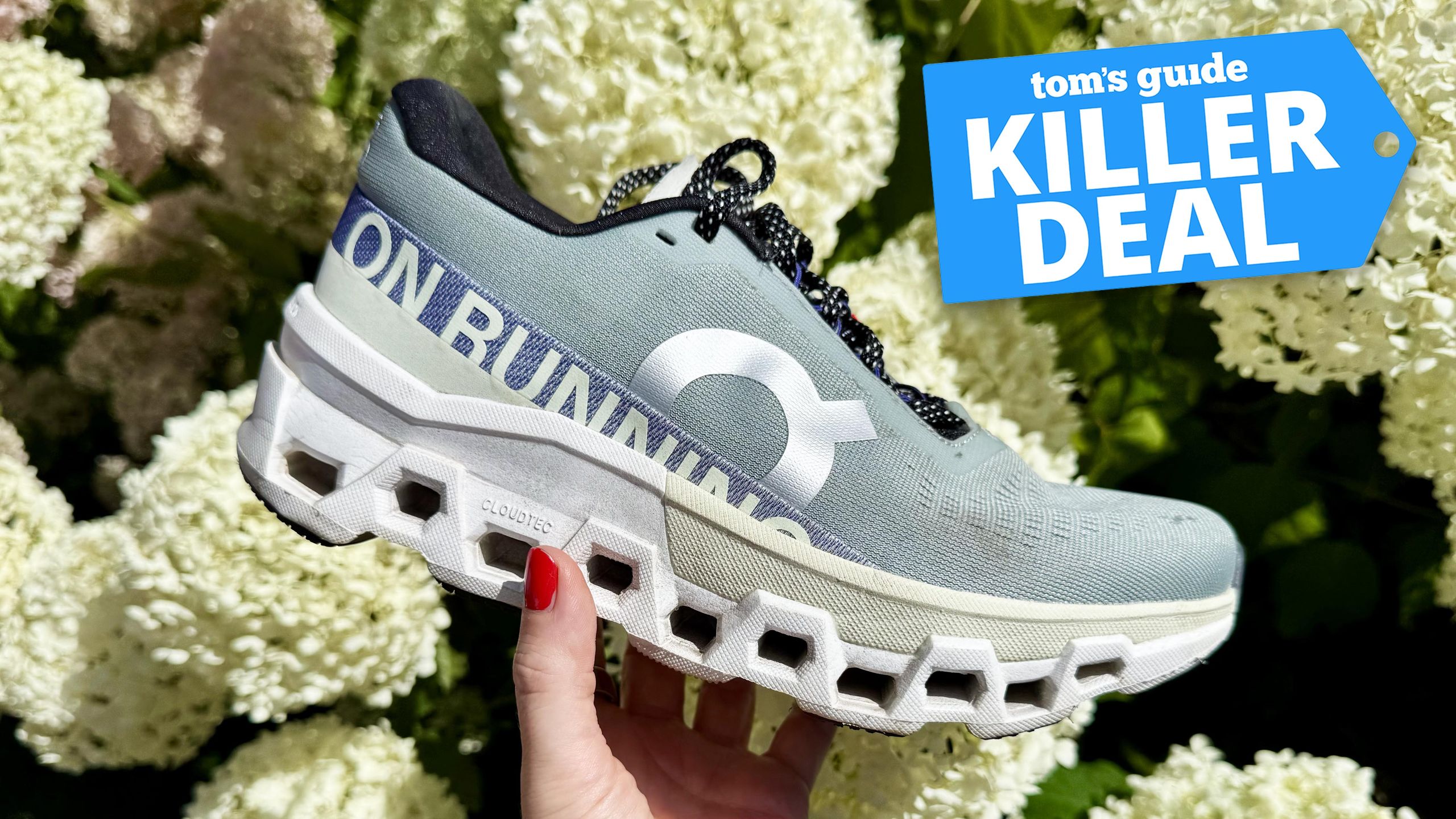 Run, don’t walk! On quietly put my go-to running shoes in an early ...