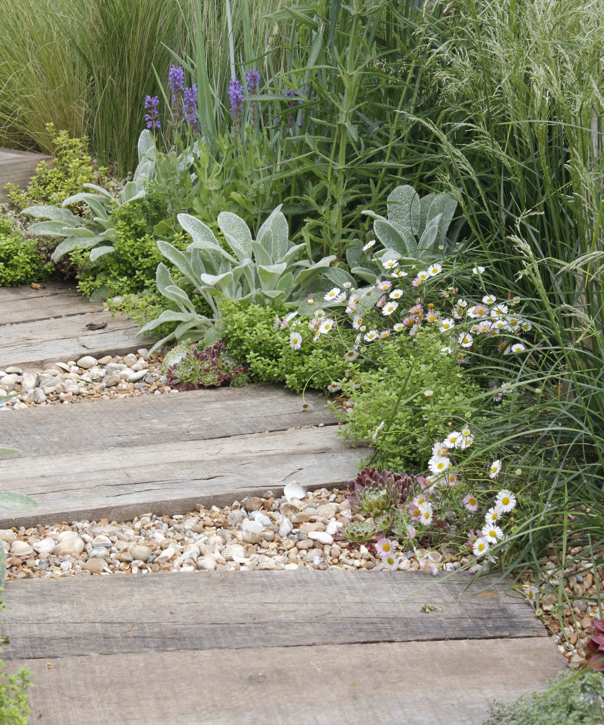 Learn the dos and don'ts of designing a path for your space | Gardeningetc