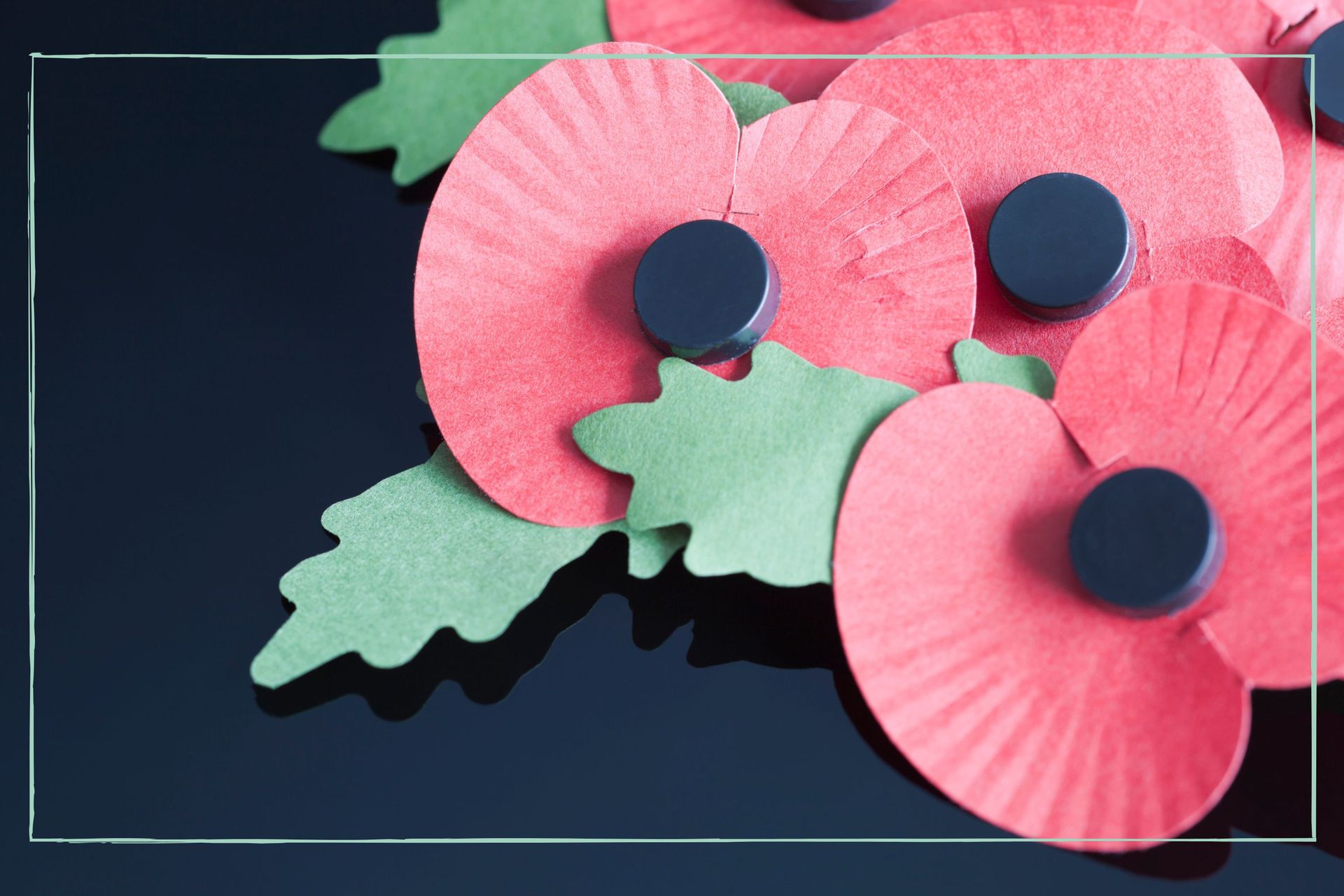 When can you start wearing a poppy and how much should you give for a ...