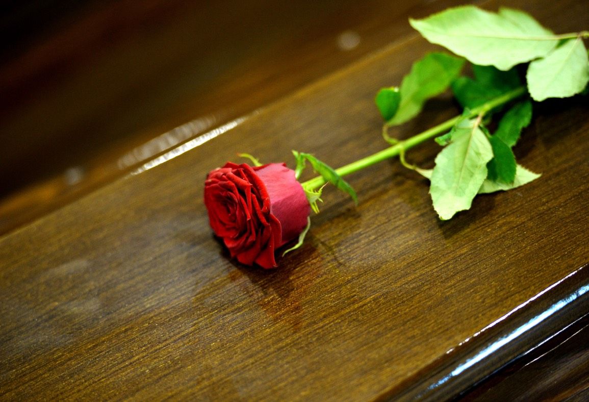 Funeral cat has comforted mourners at over 100 services | The Week