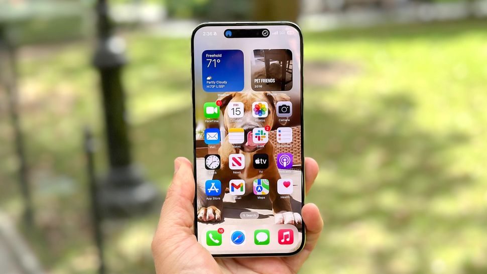 Can you get RCS messaging on your iPhone? Here's how to find out and ...