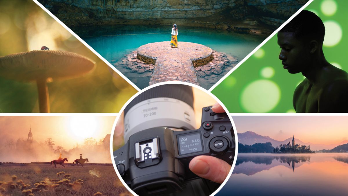 Take your best wildlife shots with Digital Photographer Magazine Issue ...