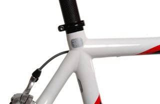 Avanti Quantum Team | Cyclingnews