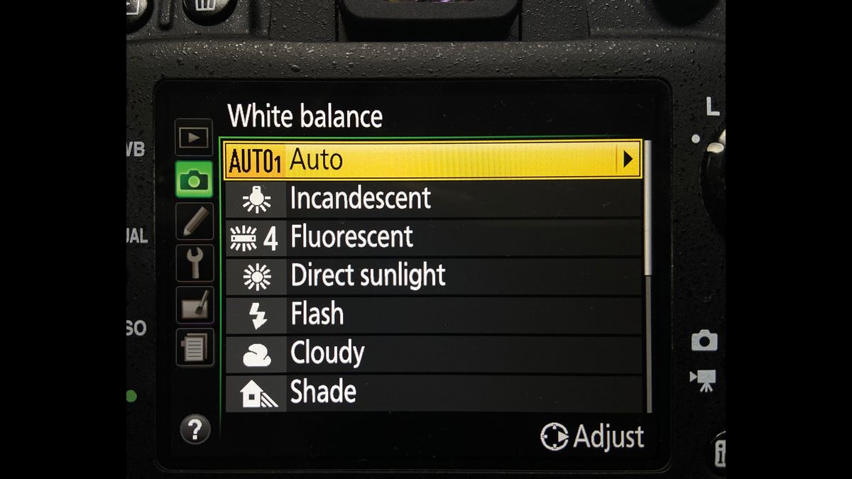 5-minute photo tips: customize the white balance to save yourself time ...