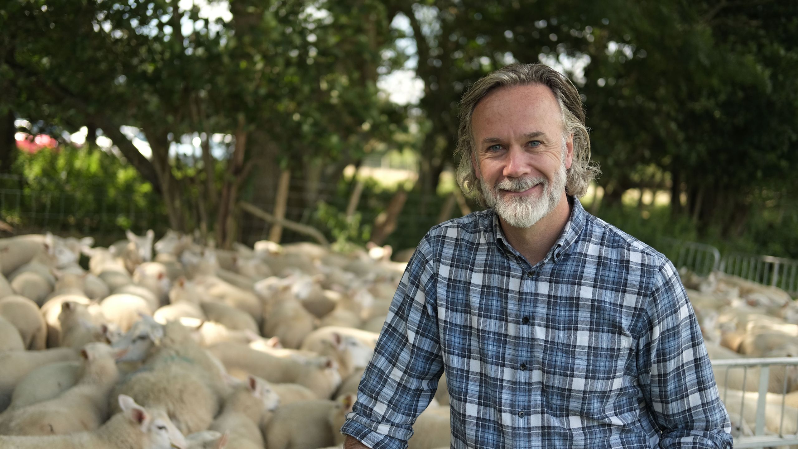 Marcus Wareing's Tales From A Kitchen Garden: air date, chat | What to ...