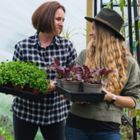 How to grow courgettes vertically - a simple step-by-step | Ideal Home