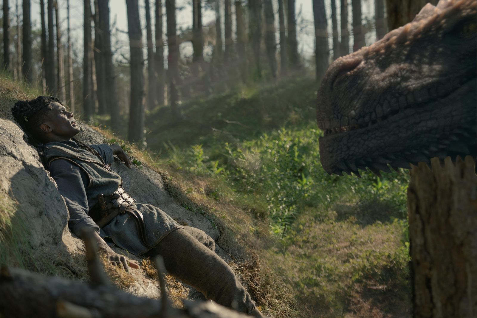 Who Are Hugh Hammer, Addam of Hull, Ulf the White, and Their Dragons ...