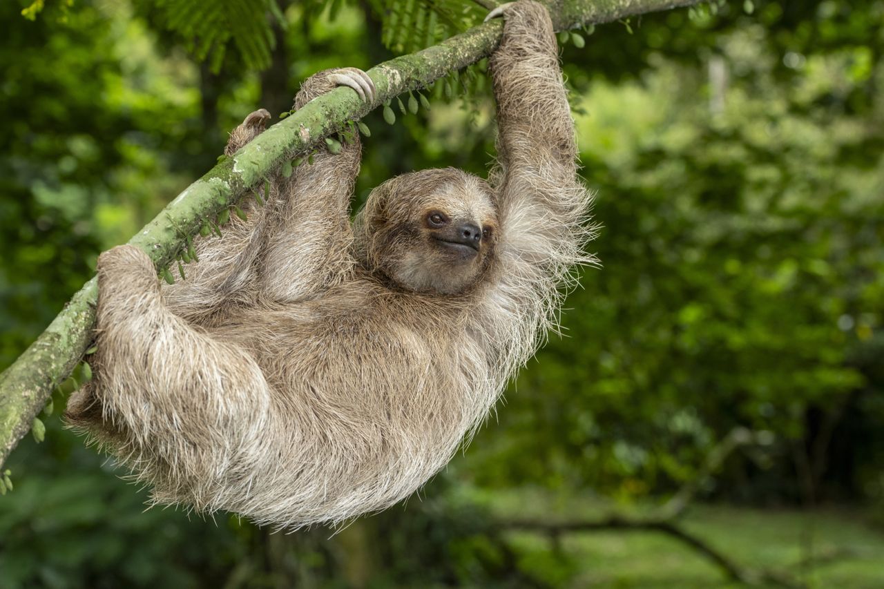 6 best places for digital nomads and expats | The Week
