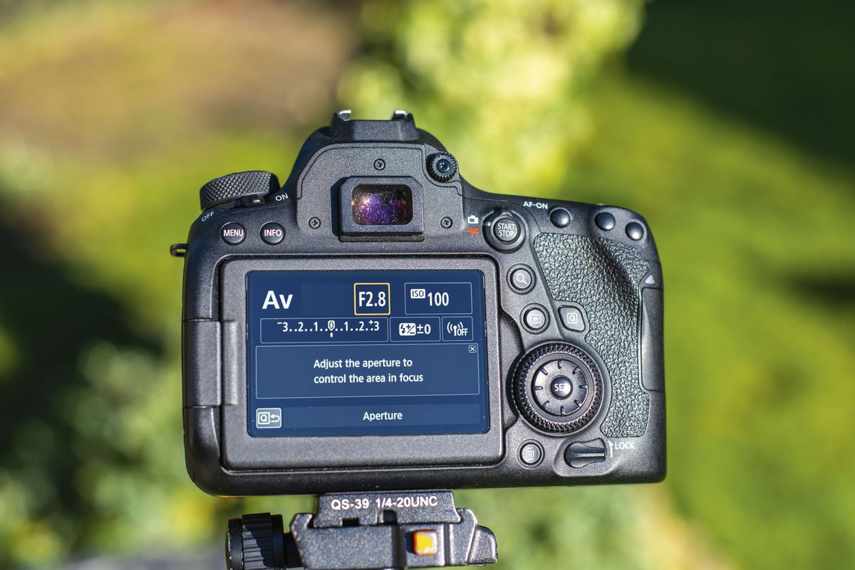 Photograph fantastic flowers at home with this cheap and simple camera ...