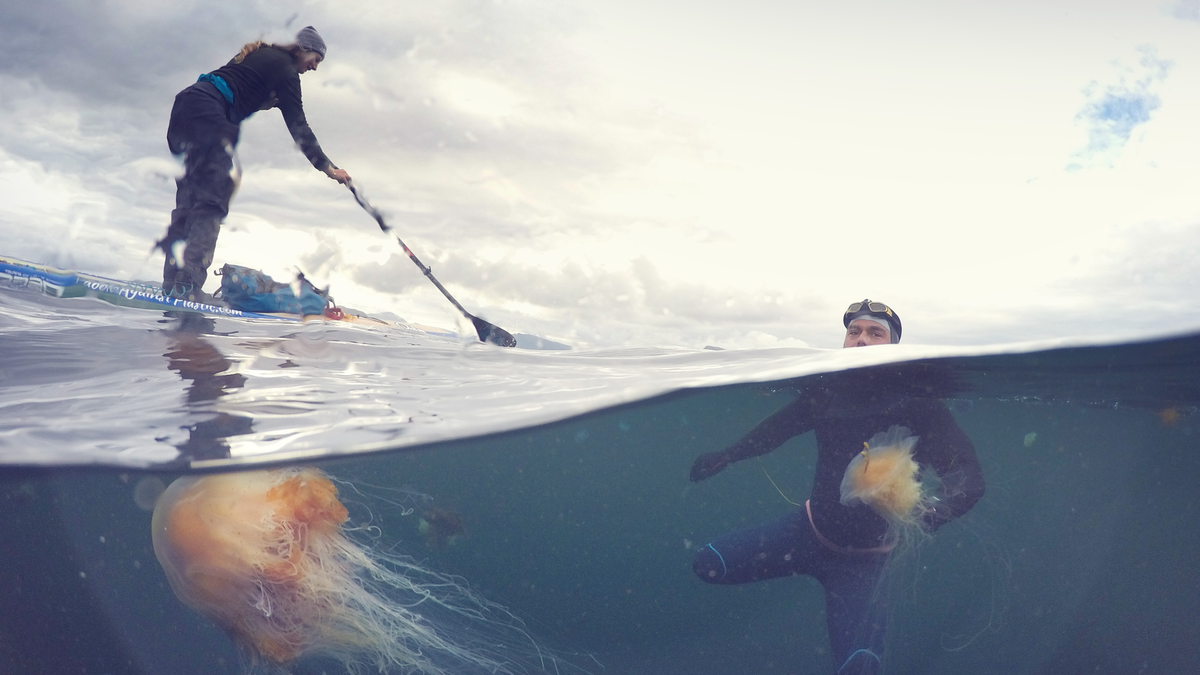Record-breaker Ross Edgley completes his "toughest and most ambitious ...