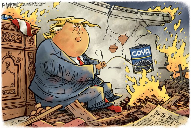 Political Cartoon U.S. Trump destruction Goya | The Week